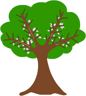 SEND Assessment Framework | Cherry Garden | Tapestry